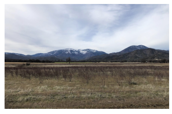 Lexipol Policy Implementation ...